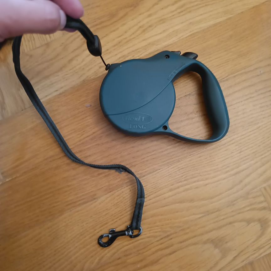 Рулетка для собак flexi 1-8