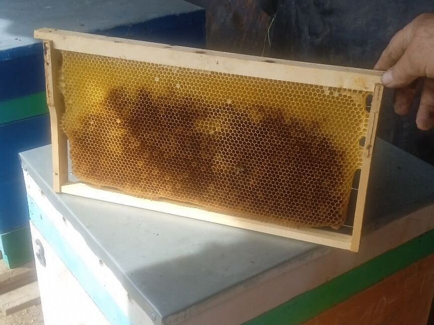 Рамки с вощиной