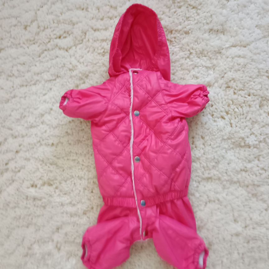 Одежда для собак