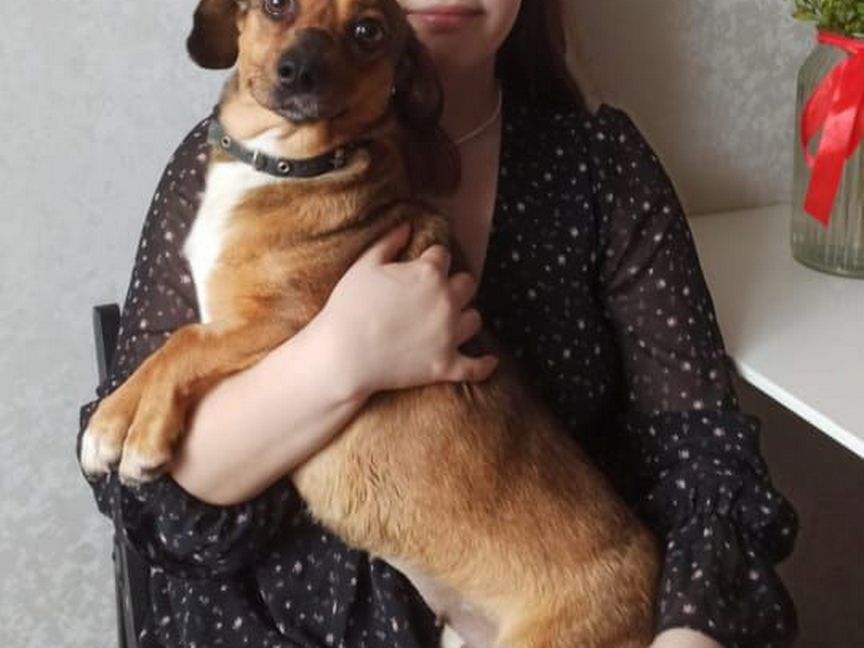 Маленькая очаровашка Мурзилка 7,5 кг