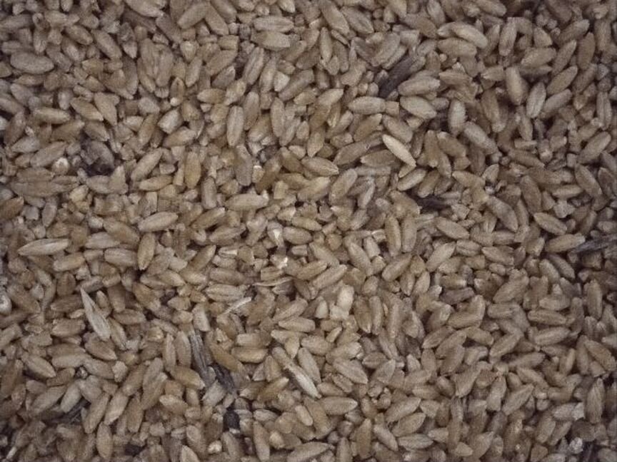 Зерновые отходы