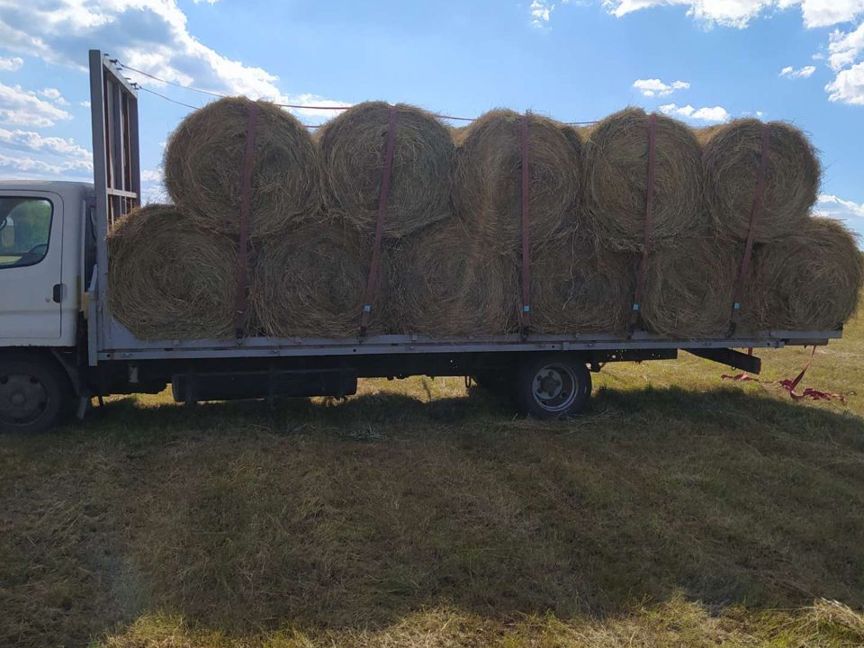 Продам сено в рулонах