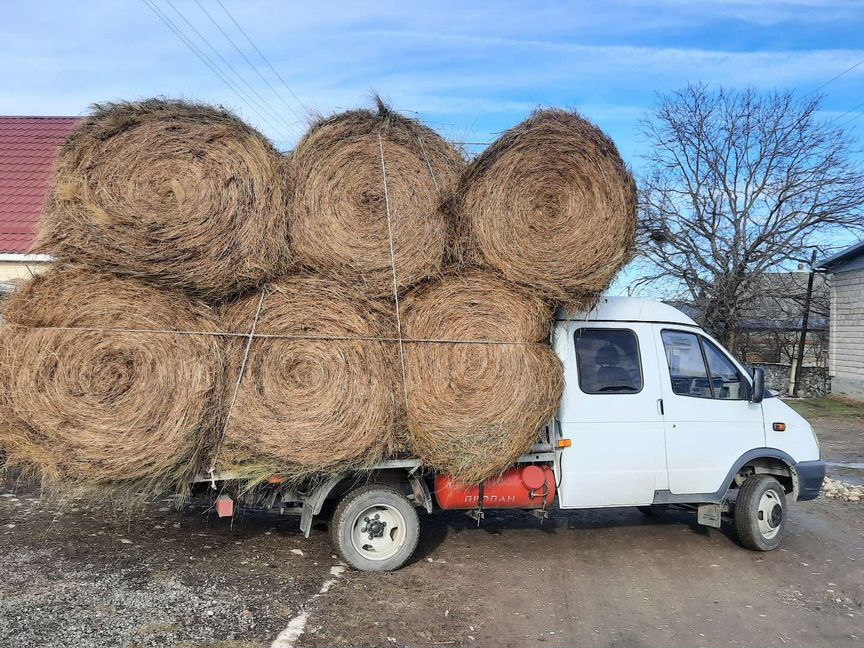 Сено в рулонах
