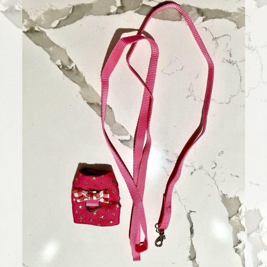 Поводок для крысы