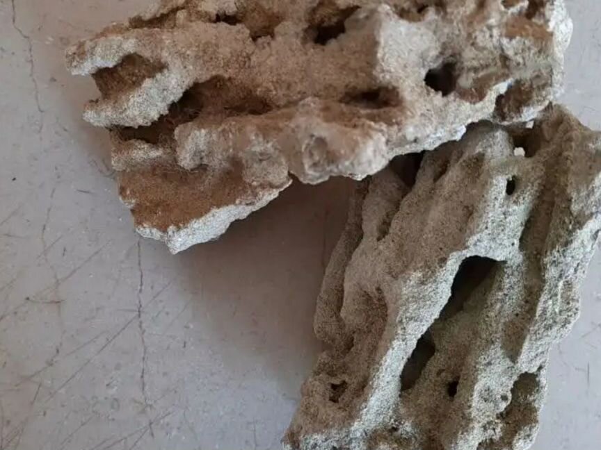 Кораллы натуральные