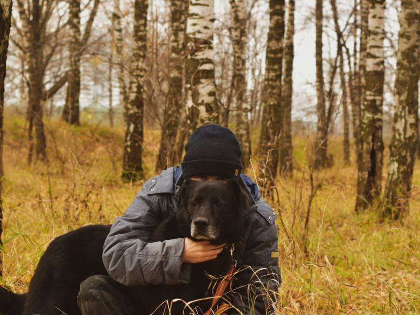 Потап ищет дом (собака из приюта)
