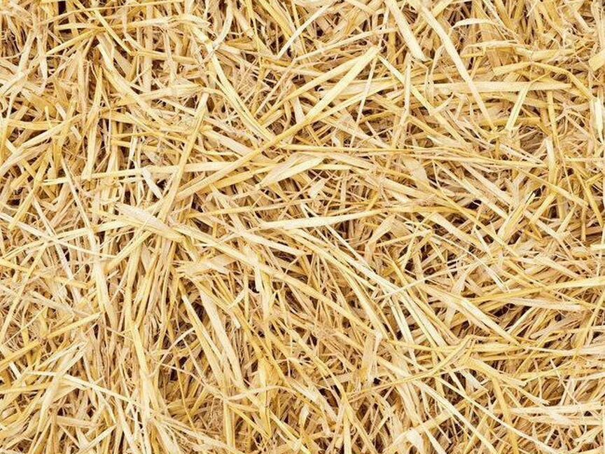 Сено луговое