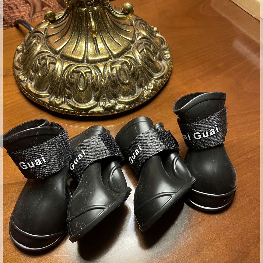 Обувь для собак