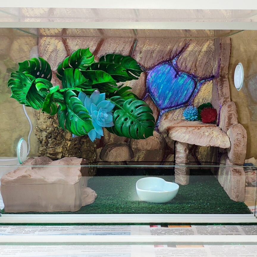 Готовый террариум для эублефара