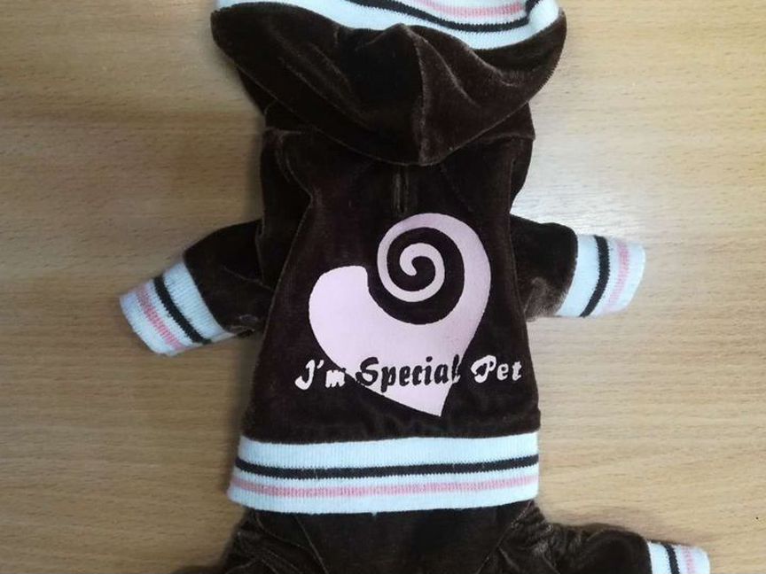 Комбинезон, ошейник