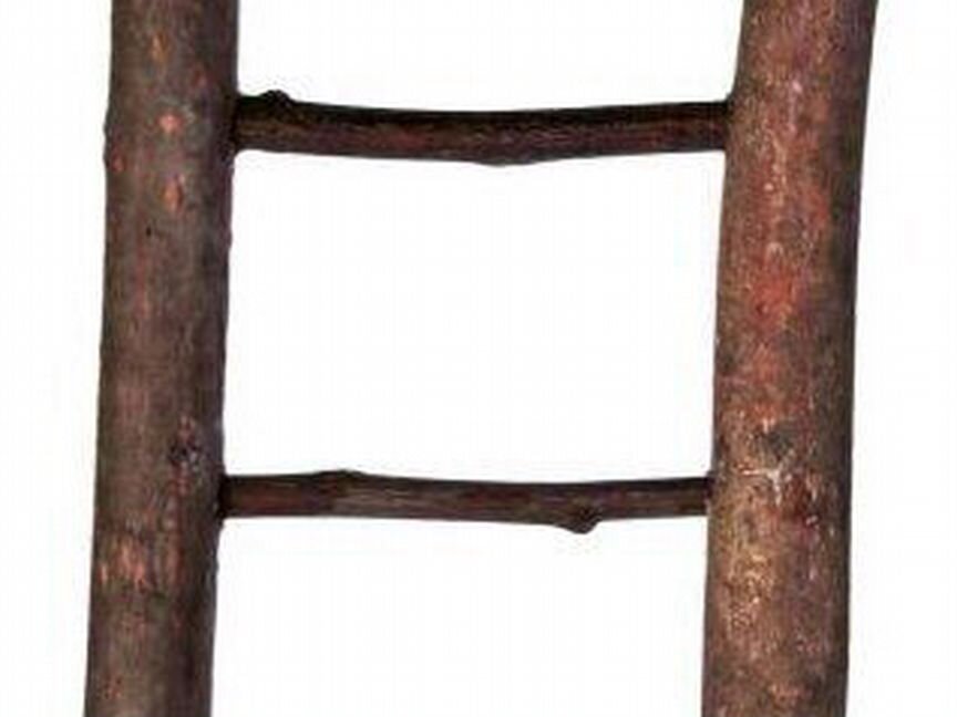 Trixie Лестница для попугая деревянная 7 ступенек