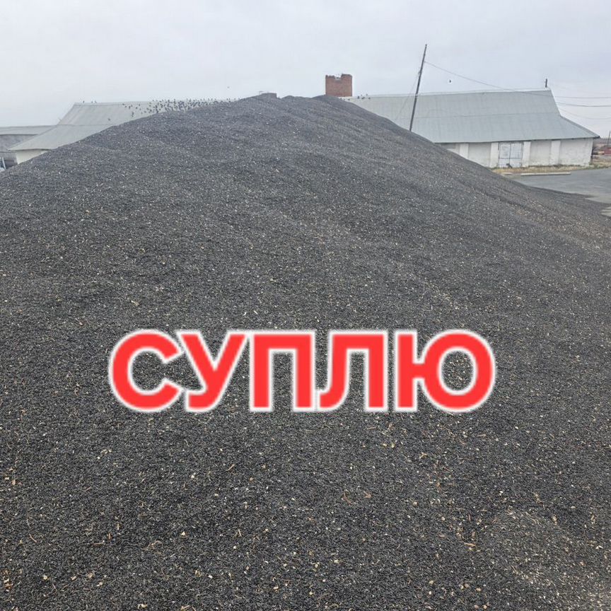 Семечки подсолнечника