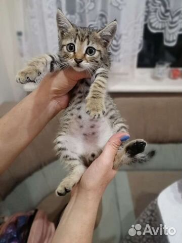 Крохотный, но самостоятельный малыш