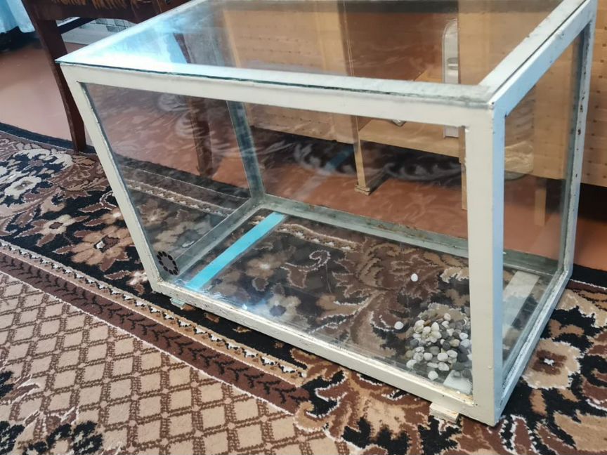 Аквариум, мох Ричия