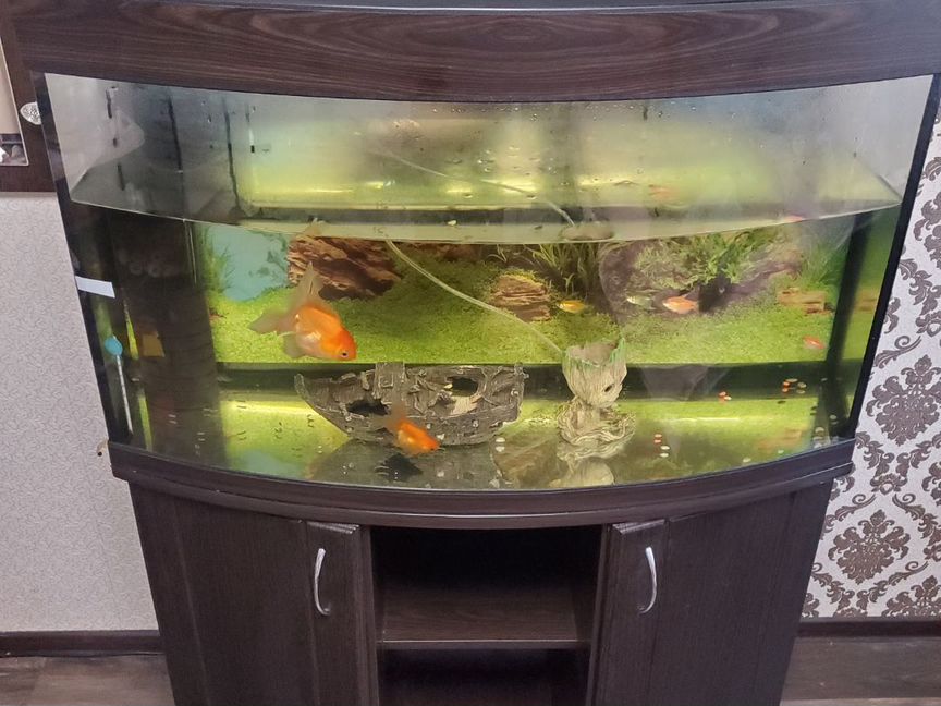 Аквариум с тумбой
