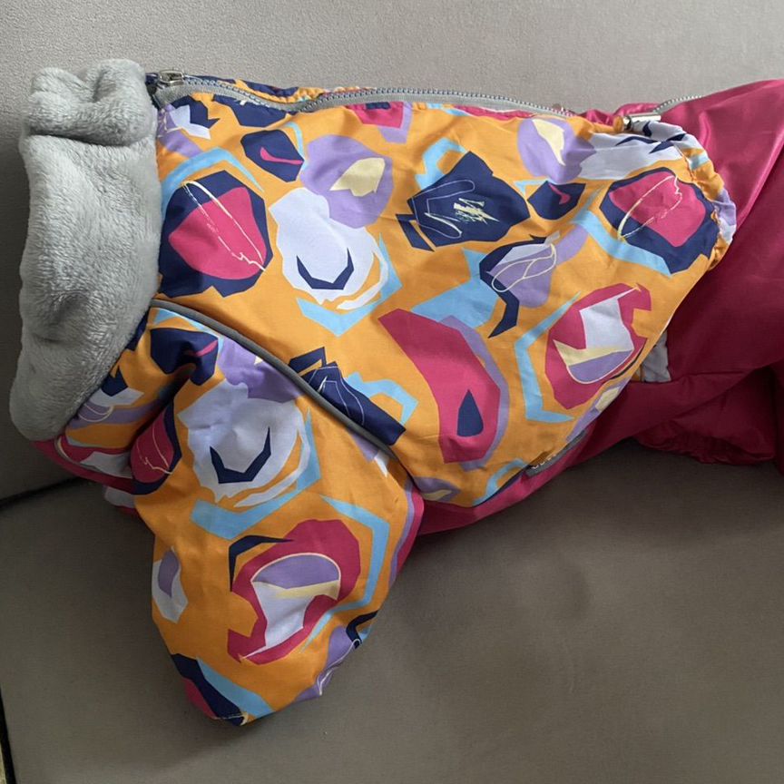 Одежда для собак