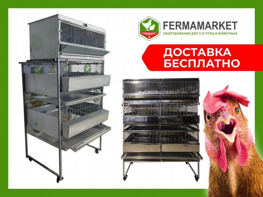 Клетки бройлеров, кур-несушек Кремёнки