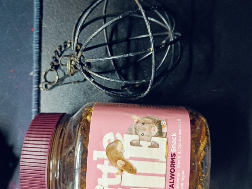 Сушеные червячки