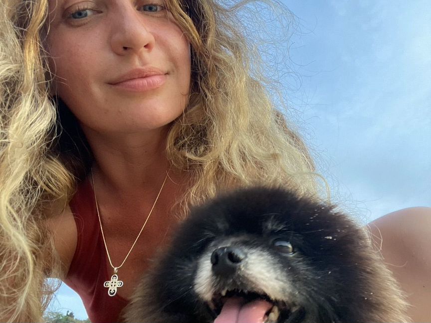 Передержка домашних животных