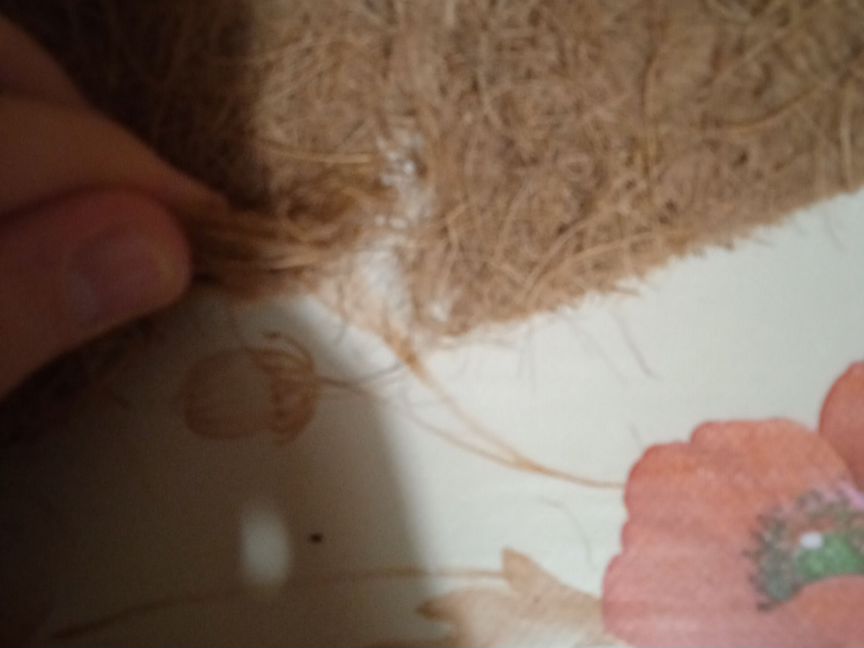 Кокосовый коврик для террариума