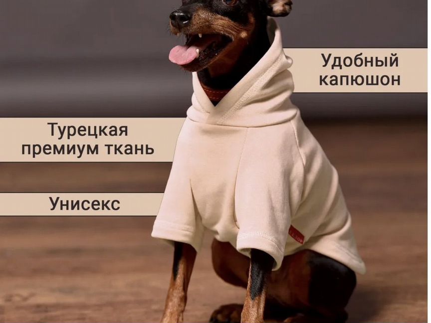 Толстовка для собак