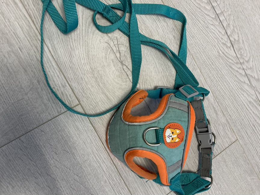 Шлейка для собаки