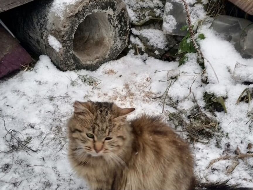 Коечка-подросток в добрые руки