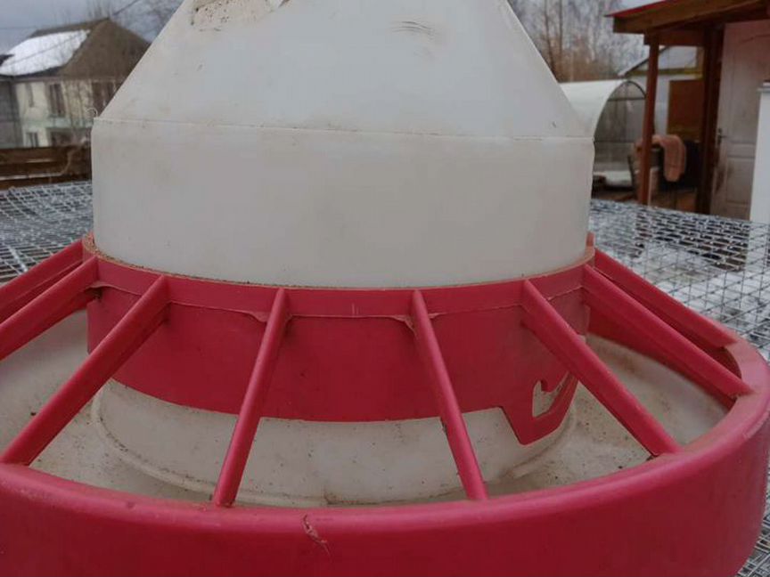 Кормушки для птицы