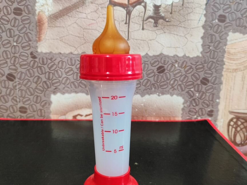 Бутылочка для котят