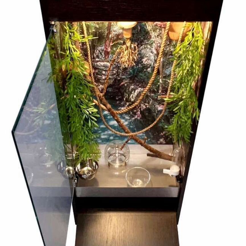 Авиарий,вольер,клетка.Амадины