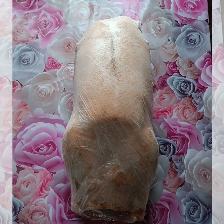 Домашние животные