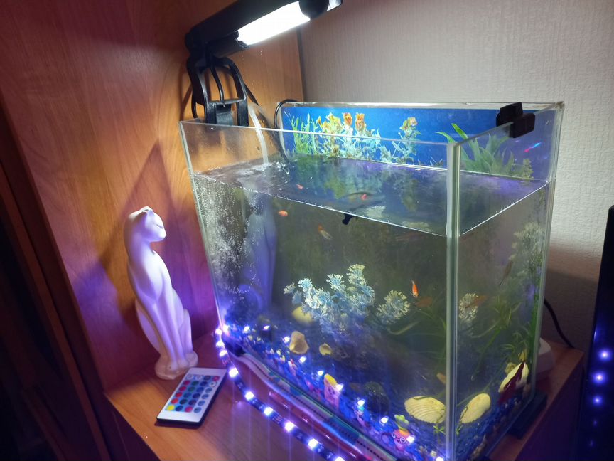 Украшение для аквариума