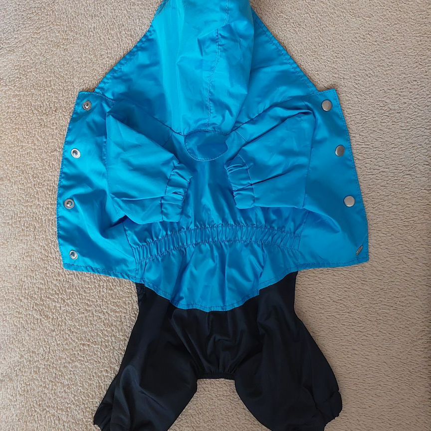 Новый осенний комбинезон