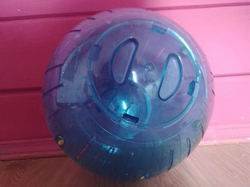 Шар для шиншиллы