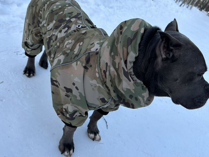 Худи для собак Булли,стафф,амстафф