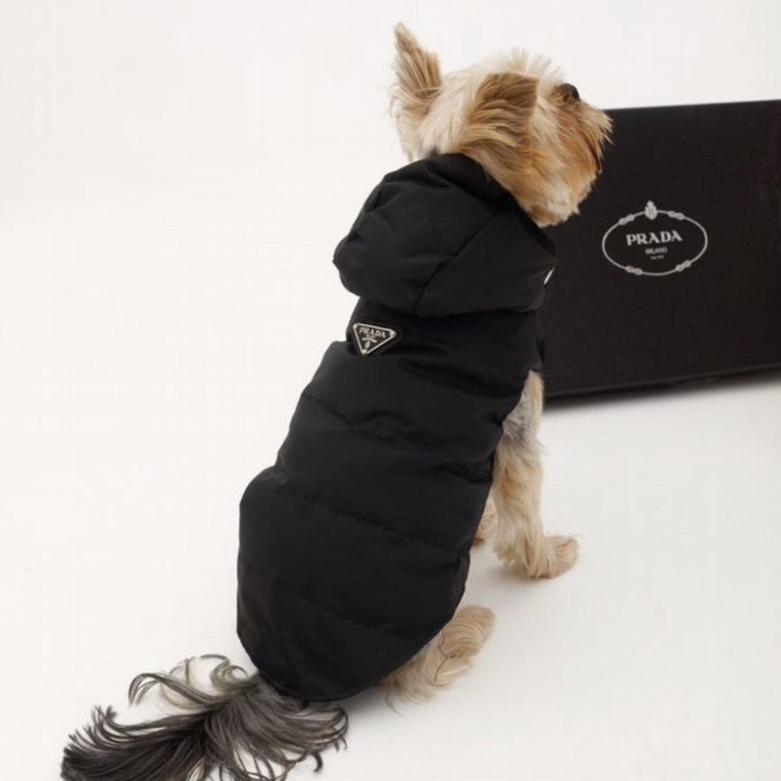 Жилетка Prada для собак малых пород