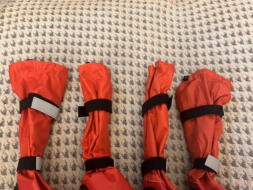 Ботиночки для собак крупных пород