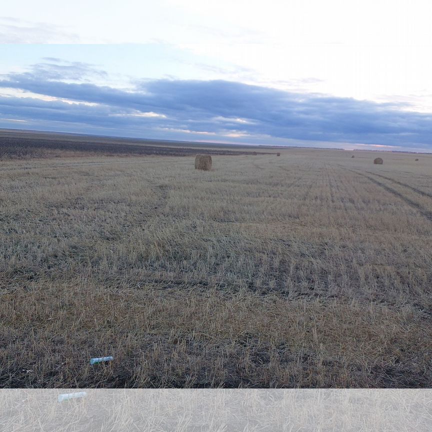 Солома в рулонах