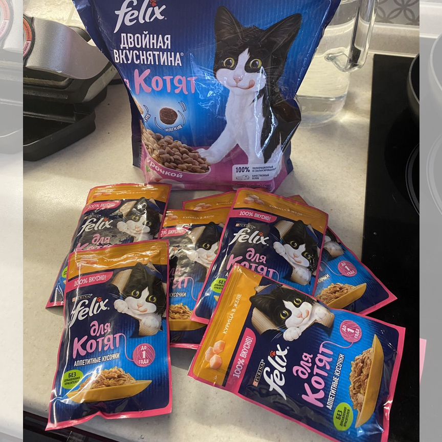 Корм для котят