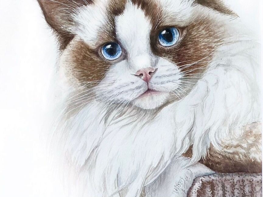 Рисунок по фото акварелью