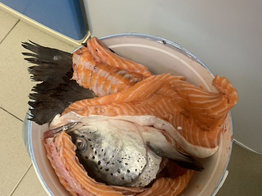 Рыбные отходы