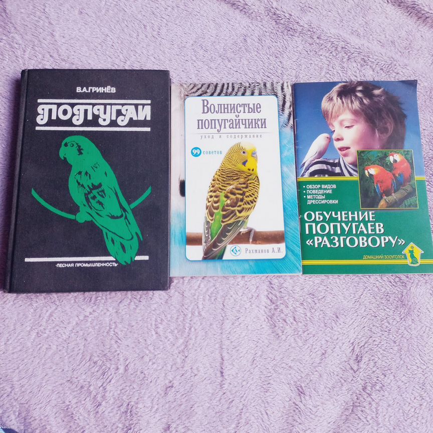 Попугаи Уход Обучение разговору