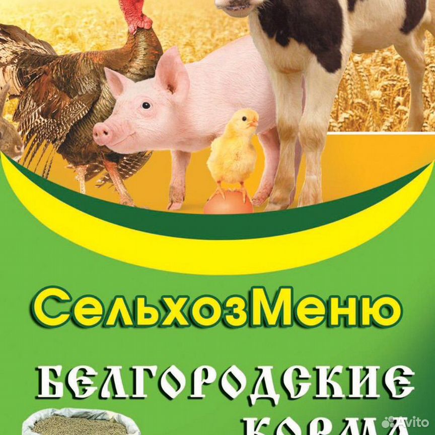 Белгородские корма