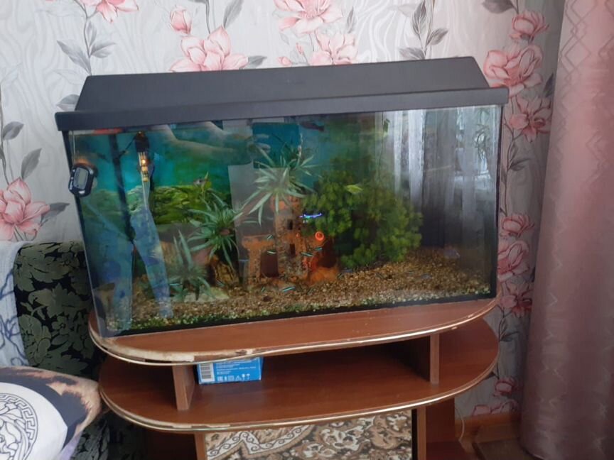 Аквариум в сборе