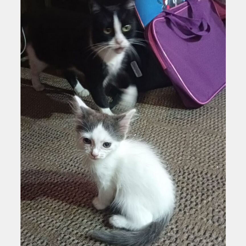 Мальчик 1 месяц