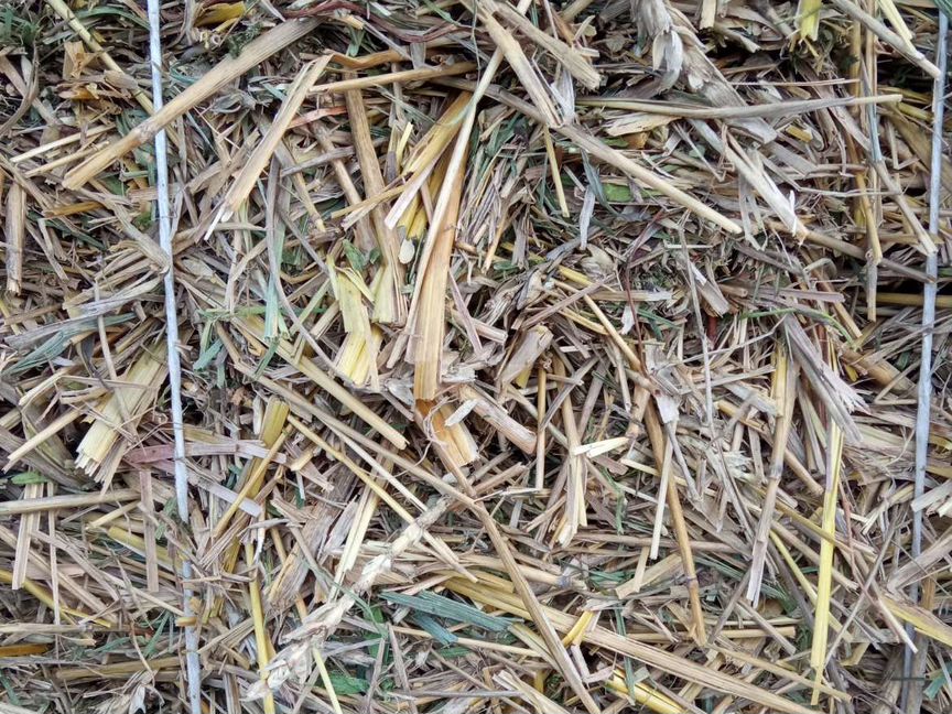 Сено и солома в брикетах