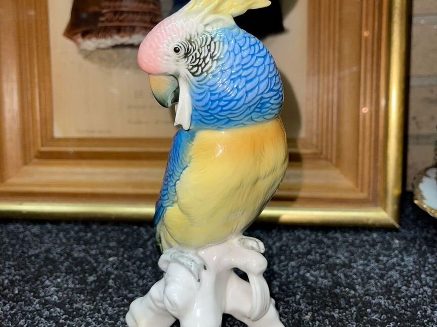 Попугай Карл Энс