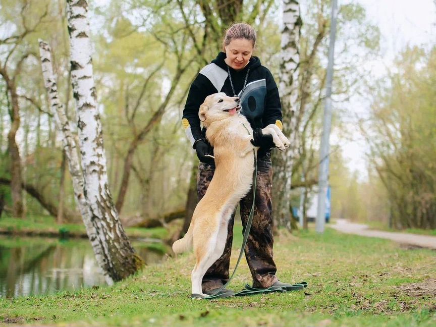 Щенок Кураж из приюта бесплатно в добрые руки