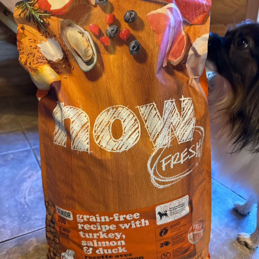 Сухой корм для собак