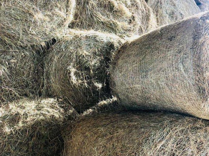 Сено в рулонах с доставкой